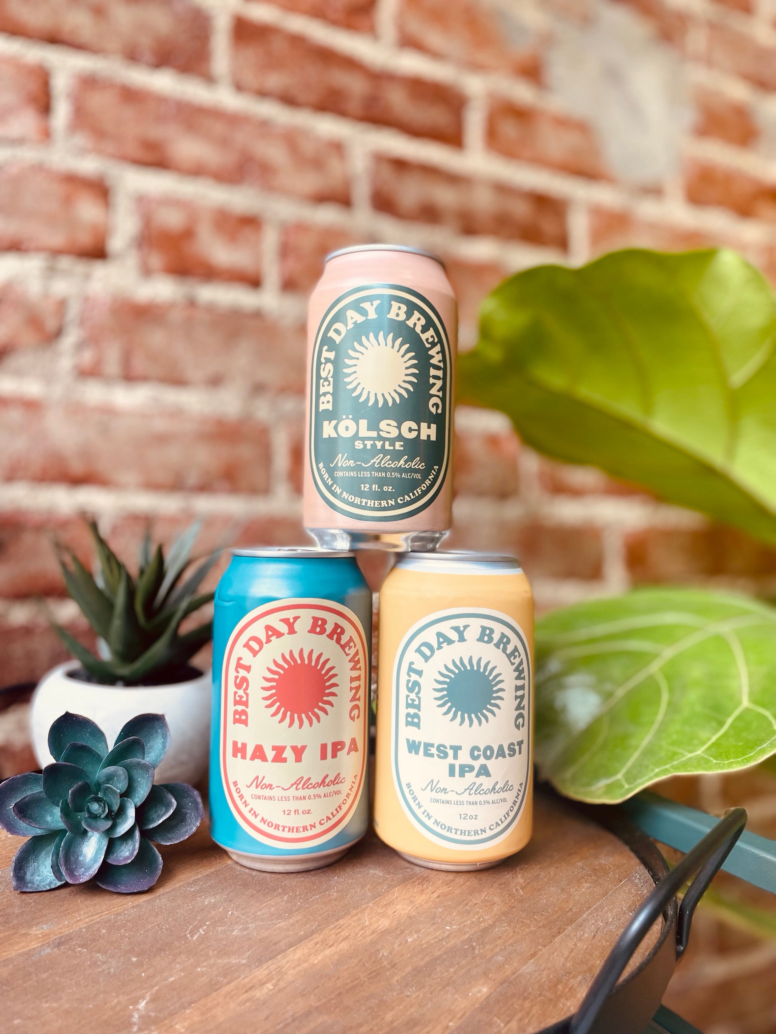 Best Day Brewing Non-Alcoholic Craft Beer Variety 12 Pack | 417 Cocktails